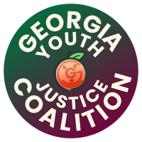 About Us - The Georgia Voter Guide